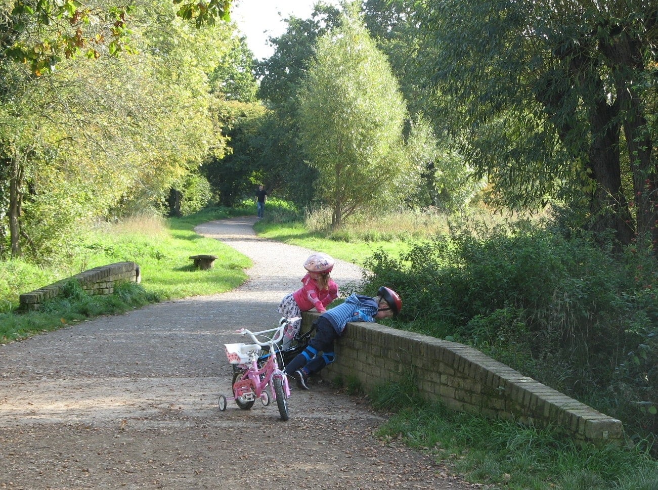 A visit to Ashtead Common - Open Spaces Society