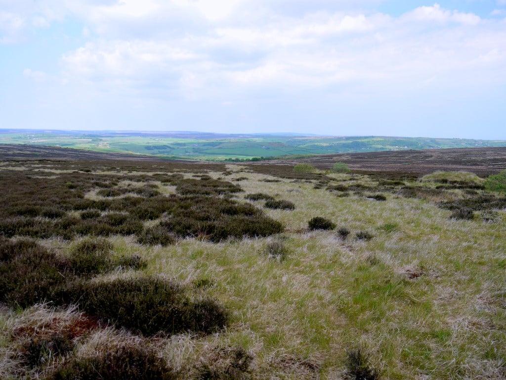 Fylingdales Moor | Our Work - The Open Spaces Society