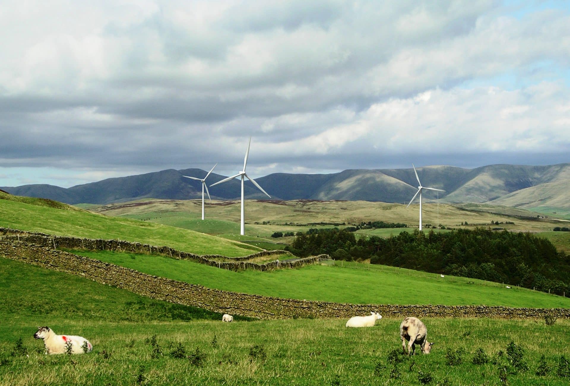 Cumbrian Commons | Our Work - The Open Spaces Society
