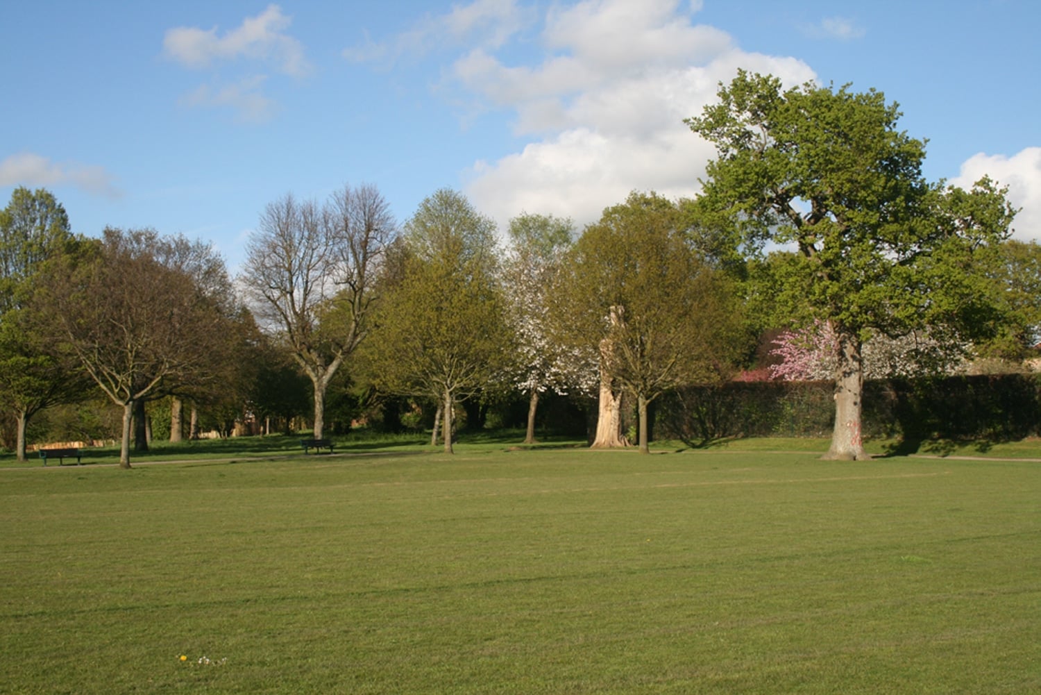 Green Spaces | Find Out More - The Open Spaces Society