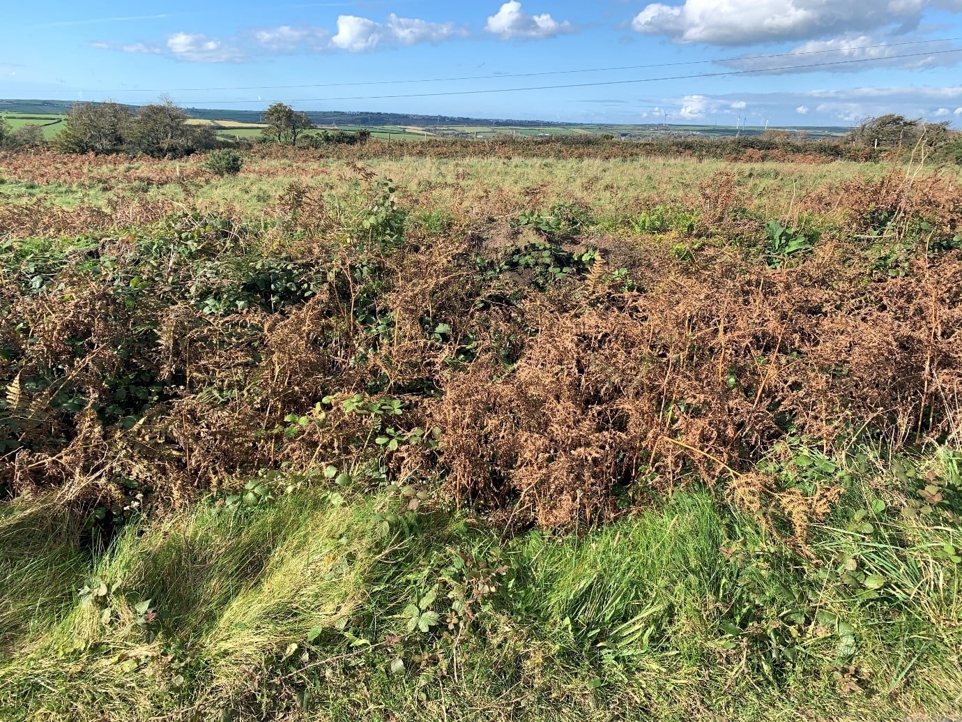 Land at St Breward, Cornwall, registered as common | OSS | September 2023