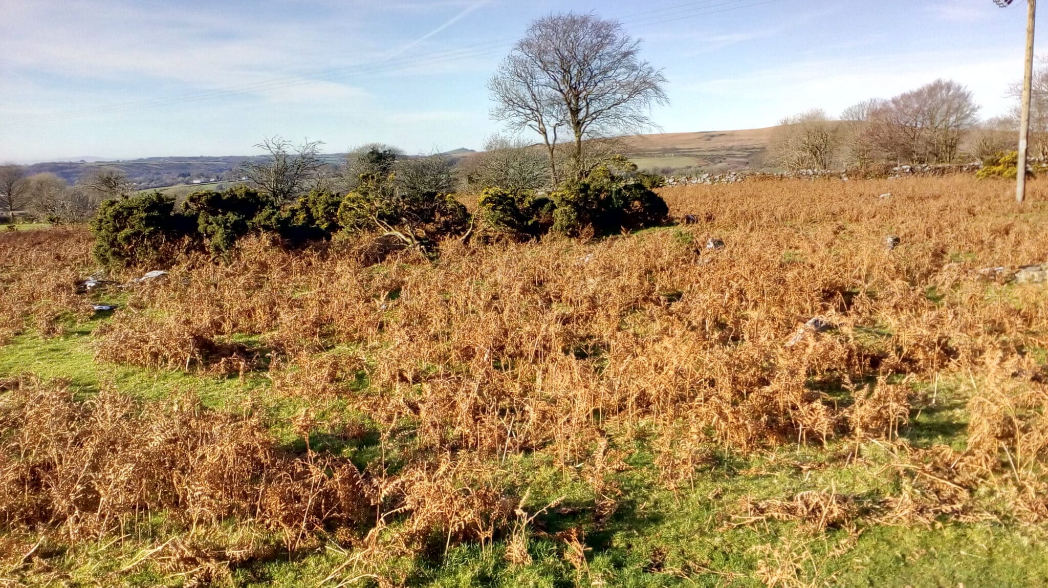 Land restored as common on Dartmoor | OSS | February 2024