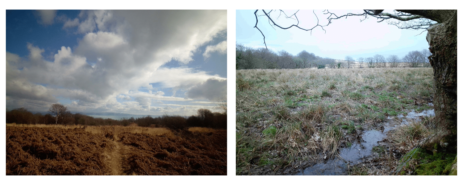 We fight Clyne Common swap at public inquiry | OSS | August 2024